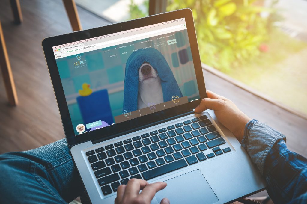 Essentials for Building a Website - MassLive Media Group